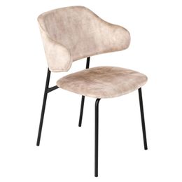 Riess Ambiente riess-ambiente Stuhl VOGUE - champagner greige Samt schwarze Metallbeine