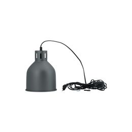 Venso EcoSolutions E27 SAGA Lampenschirm Grau, LED Pflanzenlampe E27 Pflanzenleuchte, LED Wachstumslampe, Anzuchtlampe Gem&uuml;se, Pflanzenlicht, Lampenschirm Anthrazit