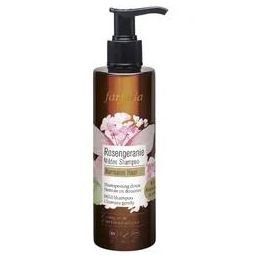 Farfalla Rosengeranie Mildes Shampoo 200ml 1 St