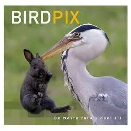 Pixfactory Birdpix 3 - Die besten Fotos