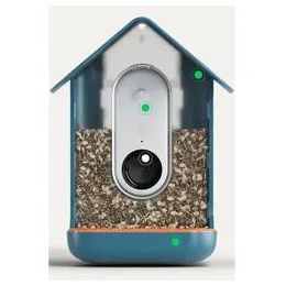 Bird Buddy Smart Vogelfutterhaus mit Solarpanel | ✔️ + 100 € gratis Geschenkbox