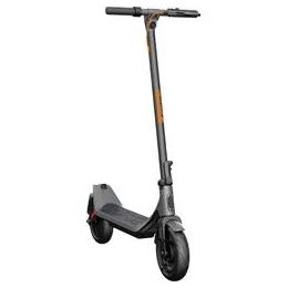 E-Scooter Denver "DONAR SEL-10360" Scooter grau (dunkelgrau) mit Straßenzulassung, bis zu 25 km Reichweite