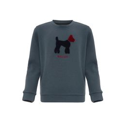 Williot Sweatshirt boy Blue size 14
