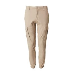 Jj Rebel Cargo Pants 'JREBMichael' male Beige size 27