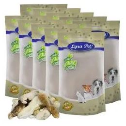 10 kg LYRA PET® Kaninchenpfoten mit Fell