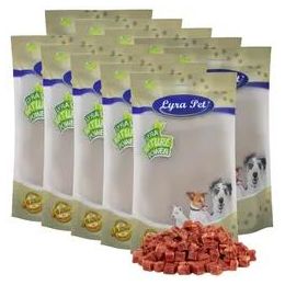 10 kg LYRA PET® Entenfleischwürfel mit Fisch