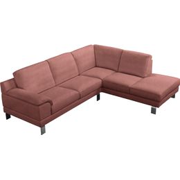 Ecksofa Egoitaliano, B:240cm H:84cm T:212cm, braun, Wohnzimmer, Sofas, "Shakira, Design und Sitzkomfort auf hohem Niveau, tolle Details", mit