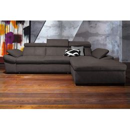Ecksofa, B:280cm H:77cm T:170cm, grau, exxpo - SOFA FASHION, Microfaser-Primabelle (100%