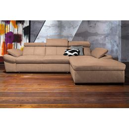 Ecksofa, B:280cm H:77cm T:170cm, braun, exxpo - SOFA FASHION, Microfaser-Primabelle (100%