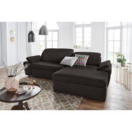 Ecksofa, B:278cm H:98cm T:165cm, braun, exxpo - SOFA FASHION, Wohnzimmer, Sofas, "Kyoto, inkl. Kopfteil- und Armteilverstellung, hoher Sitzkomfort",