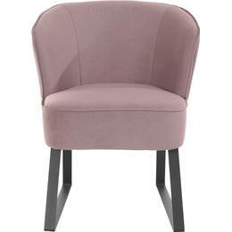 Sessel, B:66cm H:80cm T:69cm, pink, exxpo - SOFA FASHION, Wohnzimmer, Sessel, "Americano, Loungesessel", mit Keder und Metallfüßen, Bezug in
