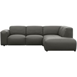 Ecksofa FLEXLUX, B:256cm H:73cm T:231cm, grau, 100% Echteder, Wohnzimmer, Sofas, "Lucera, super Sitzkomfort durch Kaltschaum im Sitz, L-Form", modern