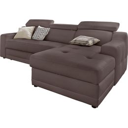 Ecksofa, B:242cm H:92cm T:98cm, braun, exxpo - SOFA FASHION, NaturLEDER (echtes Rindsleder) in Sitz und Rücken. Korpus in passendem Kunstleder