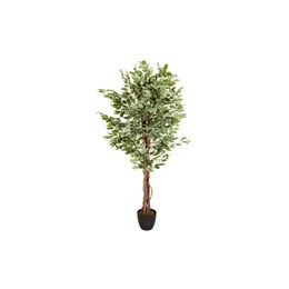 hjh OFFICE Kunstpflanze FICUS Kunststoff, Stoff