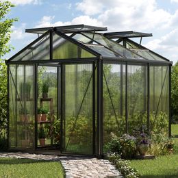 235 x 235 cm Gewächshaus, Pulverbeschichtet Anthrazit, RAL 7016 | Aktionsset - Profi 2 - (GFPV00175)