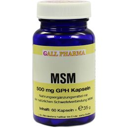 Hecht-Pharma Msm 500mg Gph Kapseln 60 ST