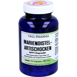 Hecht-Pharma Mariendistel-Artischocken Gph Kapseln 120 ST