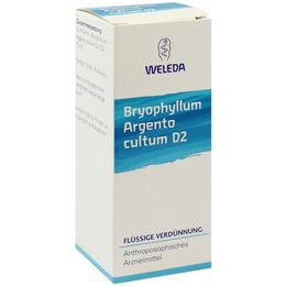 Weleda Bryophyllum Arg Cul D 2 50 ML