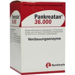 Pankreatan 36000 100 ST