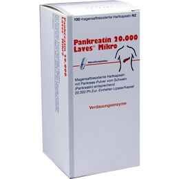 Laves-Arzneimittel GmbH Pankreatin 20000 Laves Mikro 100 ST