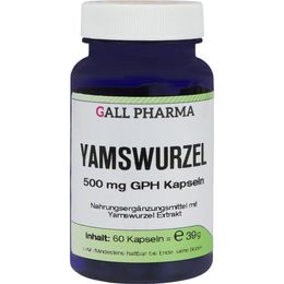 Hecht-Pharma Yamswurzel 500mg Gph 60 ST