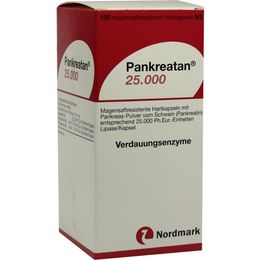 Pankreatan 25000 100 ST