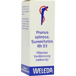 Weleda Prunus Spinos Summit Rh D3 20 ML