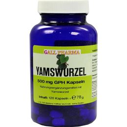 Hecht-Pharma Yamswurzel 500mg Gph 120 ST