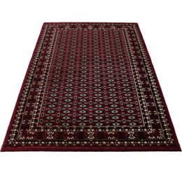 Ayyildiz Wunderschöne MARRAKESH Orient-Dekor Traditional rechteckig Höhe Kurzflor 12 mm