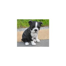 dazikemo Dekofigur Gartenfigur Boston Terrier