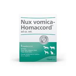 NUX VOMICA HOMACCORD ad us.vet.Ampullen 5 St