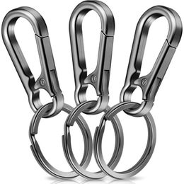 Set mit 3 Karabiner-Schlüsselringen, Karabiner, kleiner Metallkarabiner, Schlüsselring mit Karabiner zum Aufhängen in einem Rucksack, Autoschlüssel