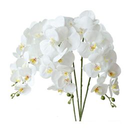 Sollbry - Stück künstliche Phalaenopsis-Blumen, Blätter, künstliche Orchideenblüten, Pflanzenstiele für Heimdekoration (weiß)