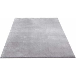 the carpet - Teppich, waschbar und Anti-Rutsch, Uni-Farben, Grau, 120 cm, Rund