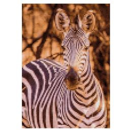 buttinette Diamantenstickerei-Set "Zebra", 24 x 34 cm