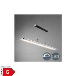 B.K.LICHT LED Pendelleuchte, schwarz, 1xLED-Platine/20W