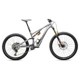 Specialized Stumpjumper 15 Fox Coil Alloy Brushed/Liquid 2025 S4