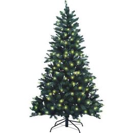 Xenotec PE-BM180 Künstlicher Weihnachtsbaum mit Beleuchtung Tanne Warmweiß LED Grün EEK: G (A - G) mit Ständer 180 cm