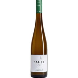 Ried Goldberg Grüner Veltliner, Wien DAC, Wien, 2023, Weißwein
