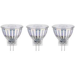 29140 led eek f (a - g) GU4 4.2 w Warmweiß (ø x h) 35 mm x 38 mm 3 St. - Paulmann