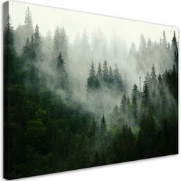 Bild auf Leinwand, Wald im Nebel - 60x40