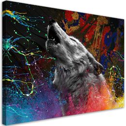 Bild auf Leinwand, Wolfstier Natur - 120x80