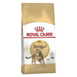 Bengal Adult Katzen Trockenfutter 2 kg Geflügel, Gemüse - Royal Canin