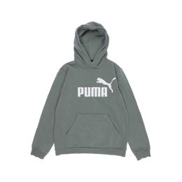 Puma Herren Hoodies & Sweater, grün, Gr. 164