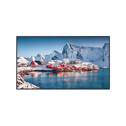 Panasonic TH-55SQE2W 55" Display