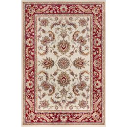 Teppich Hanse Home "Reni" Teppiche Gr. B: 200cm, 8mm, L: 280cm, rot (creme,rot) Läufer, Orientalisch, Kurzflor, Wohnzimmer, Schlafzimmer, Esszimmer