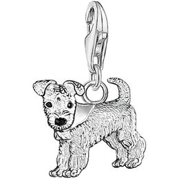 Charm-Einhänger Thomas Sabo "Hund, 0841-007-12" Charms silberfarben Damen