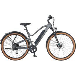 E-Bike Prophete "Stack 1.3" Gr. 48, grau, E-Bikes, 48cm, 29 Zoll (73,66cm), Pedelec, Elektrofahrrad für Herren