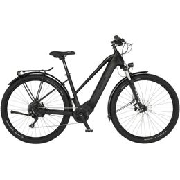 FISCHER BIKE E-Bike FISCHER FAHRRAD "TERRA 8.0i 45" E-Bikes Gr. 45cm, 29 Zoll (73,66cm), schwarz Pedelec, Elektrofahrrad für Damen u. Herren