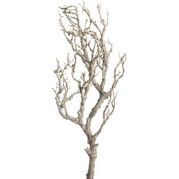 Kunstzweig BOTANIC-HAUS "Deko-Ast", beige (natur), B:28cm H:90cm T:13cm Ø:28cm, Kunststoff, Kunstpflanzen